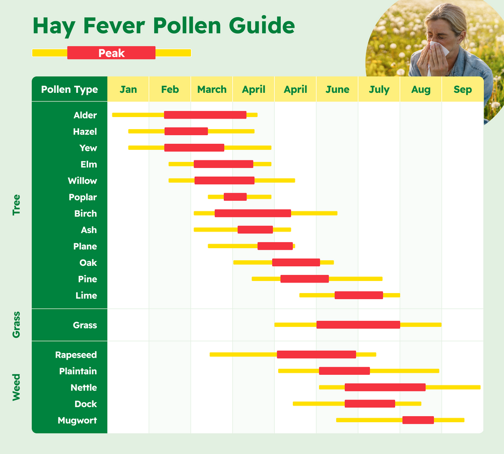 Can Babies & Kids Get Hayfever? Signs, Symptoms & Treatments