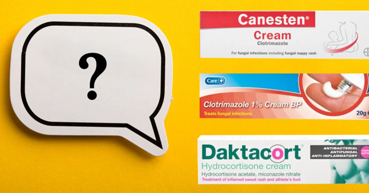 Ringworm in Humans: How to Identify, Treat & Prevent It