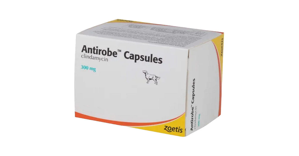 Antirobe 300mg (vet) (Prescription item)