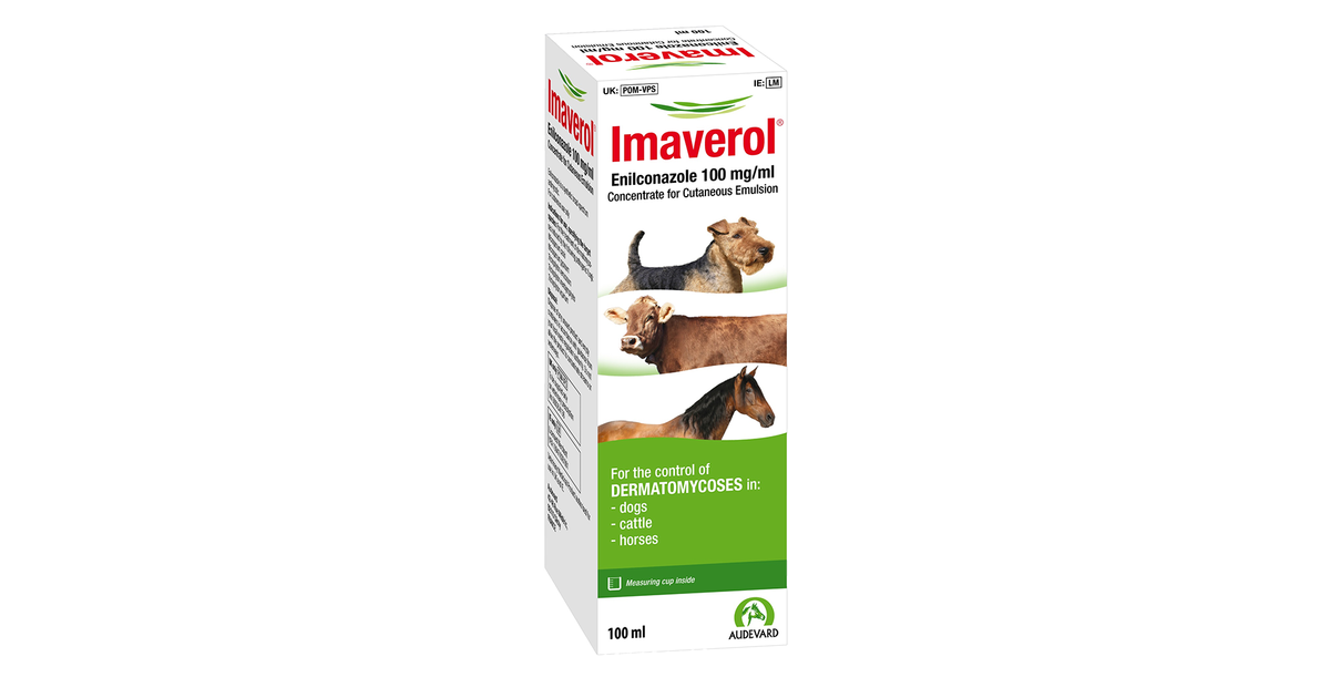 Imaverol Solution 100ml (vet)