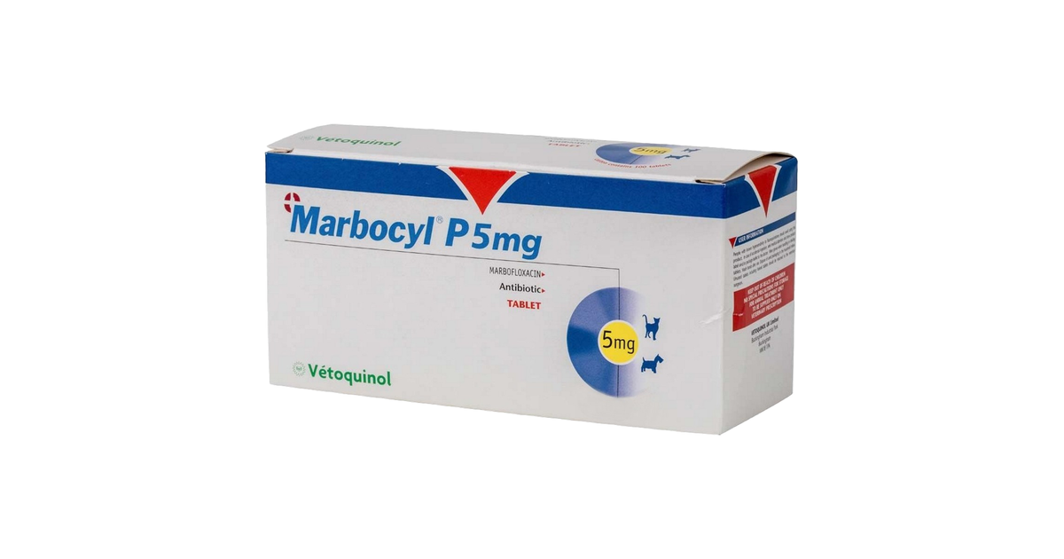 Marbocyl P 5mg 1 tab (vet) (Prescription item)