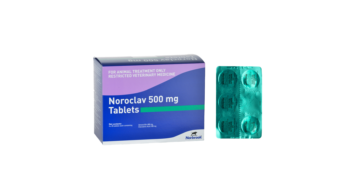 Noroclav 500mg 1 tablet (vet) (Prescription item)