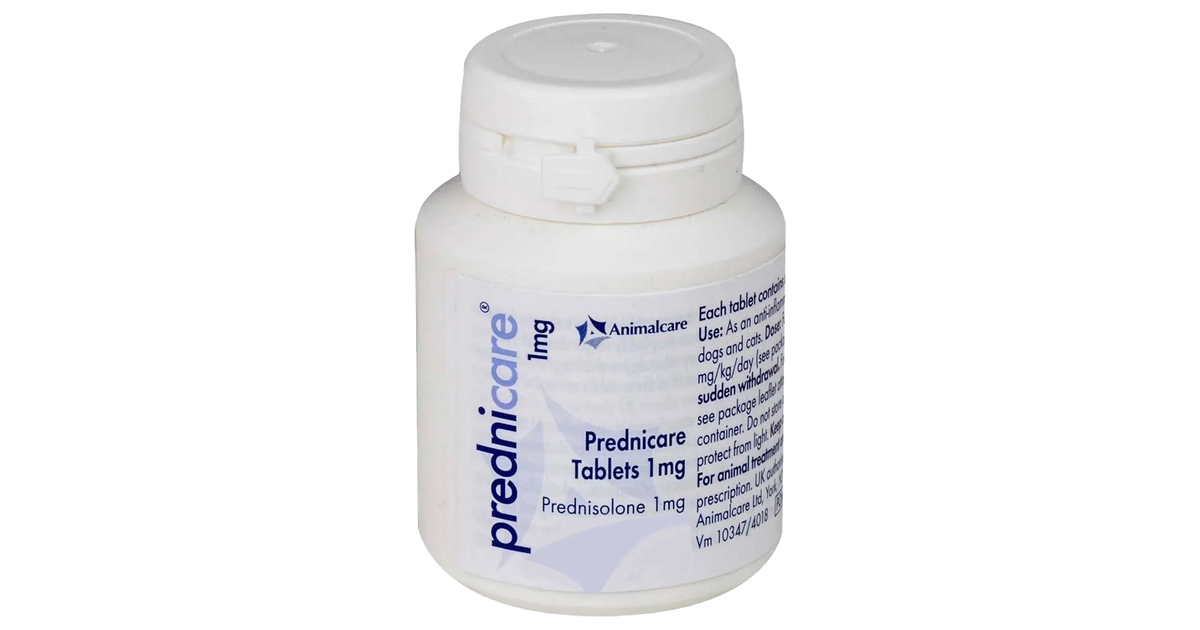 Prednicare 1mg 1 tablet (vet) (Prescription item)