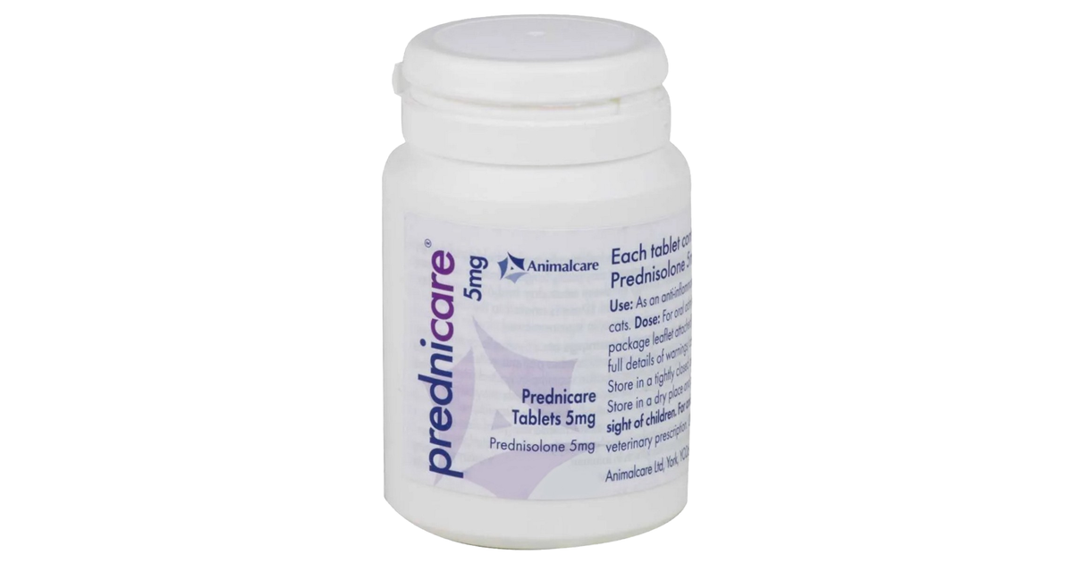 Prednicare 5mg 1 tablet (vet) (Prescription item)