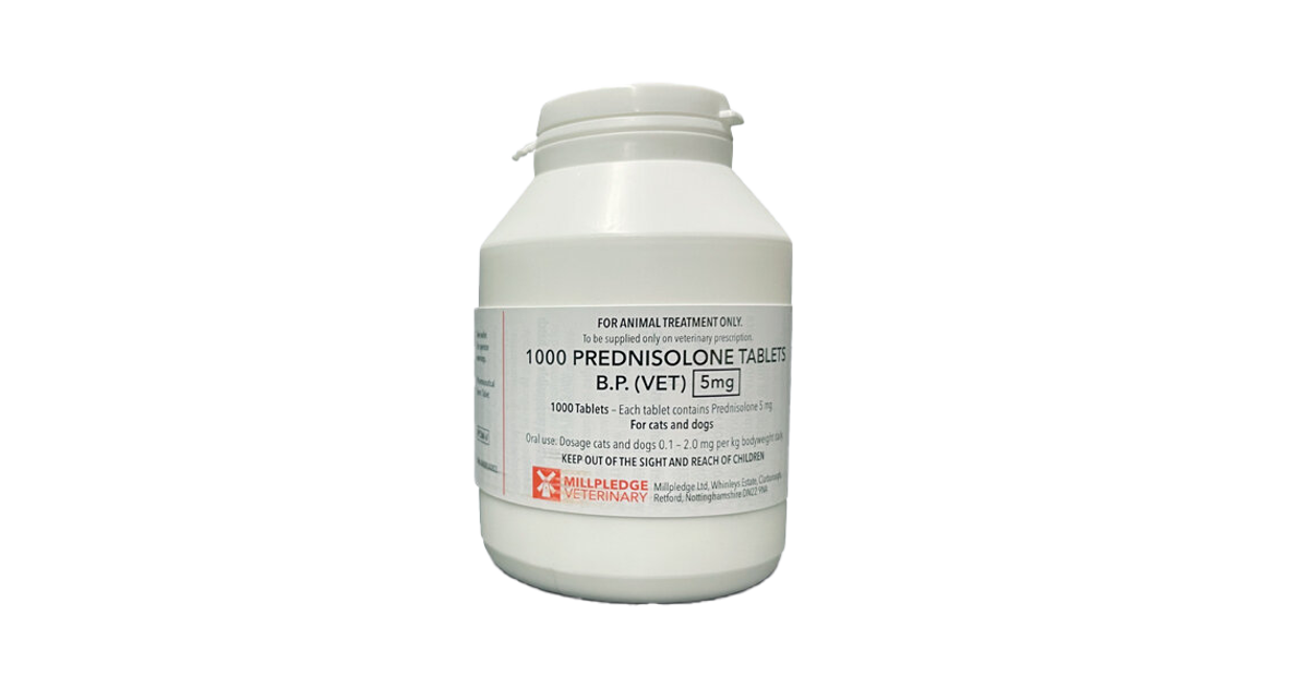 Prednisolone BP 5mg 1 tablet (vet) (Prescription item)