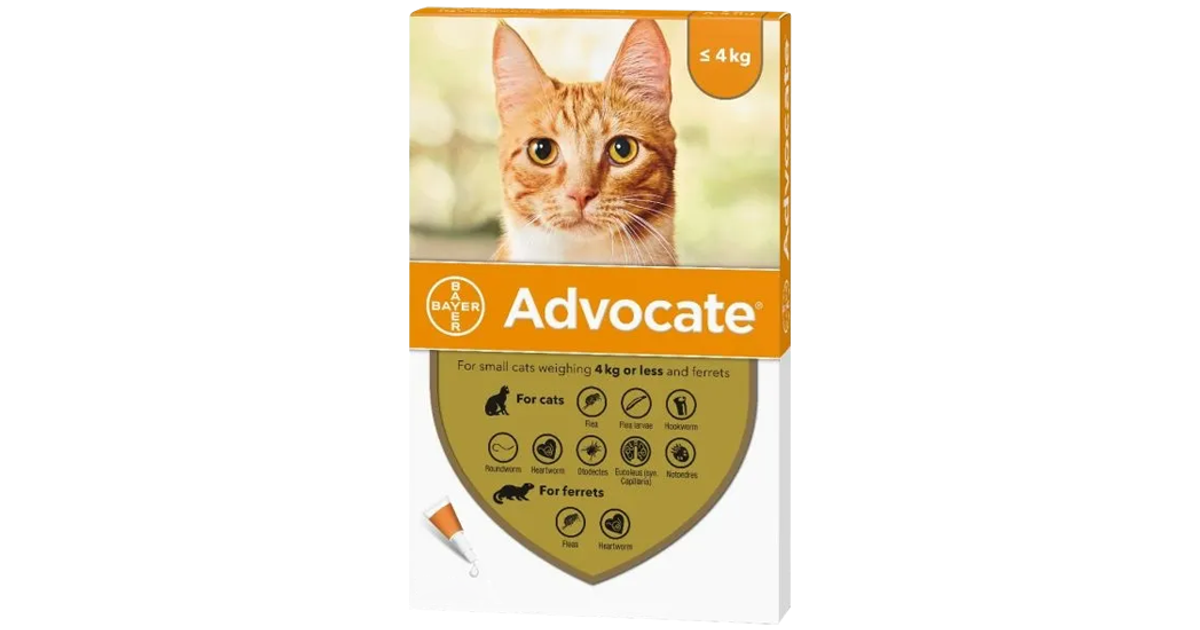 Advocate Small Cat under 4kg Pack of 6 Pipettes (Prescription item) (vet)