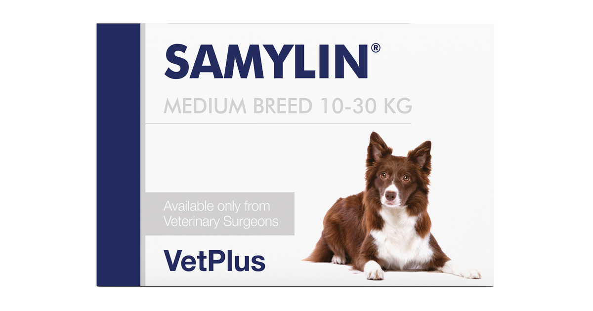 Samylin Medium Breed Tablets Pack of 30