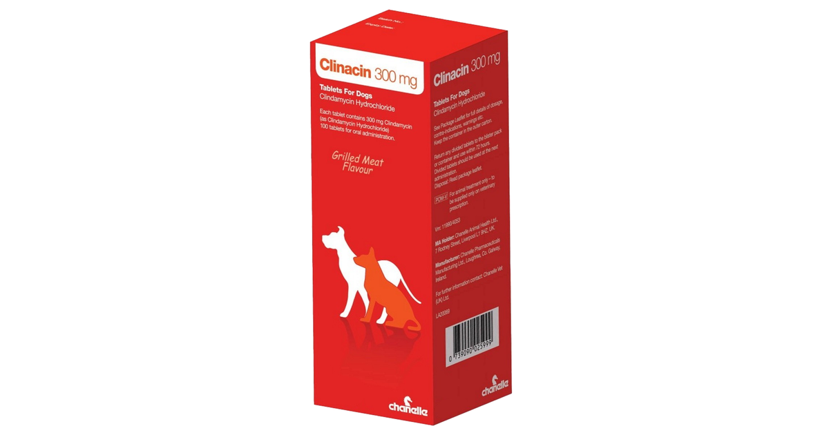 Clinacin Tablet 300mg