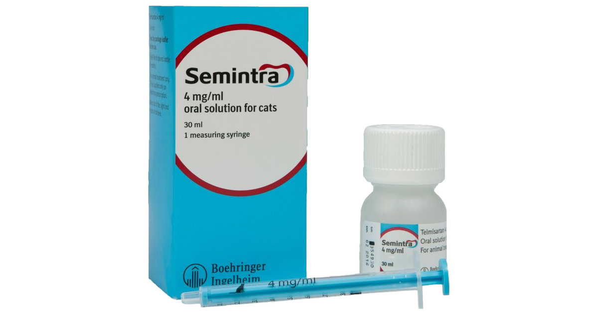 Semintra 4mg/ml Oral Solution for Cats 100ml
