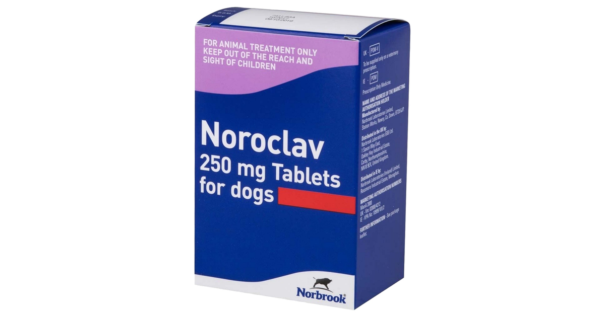 Noroclav Tablet 250mg