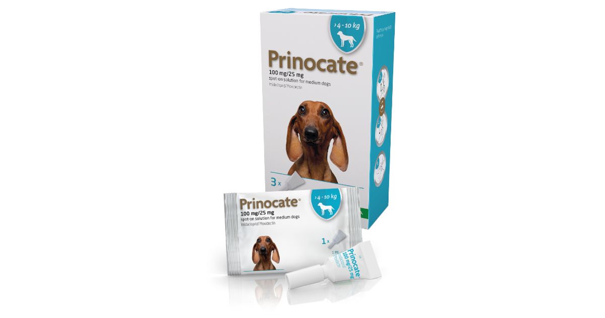 Prinocate Spot-on Solution Medium Dog (4-10kg) - 3 Pack