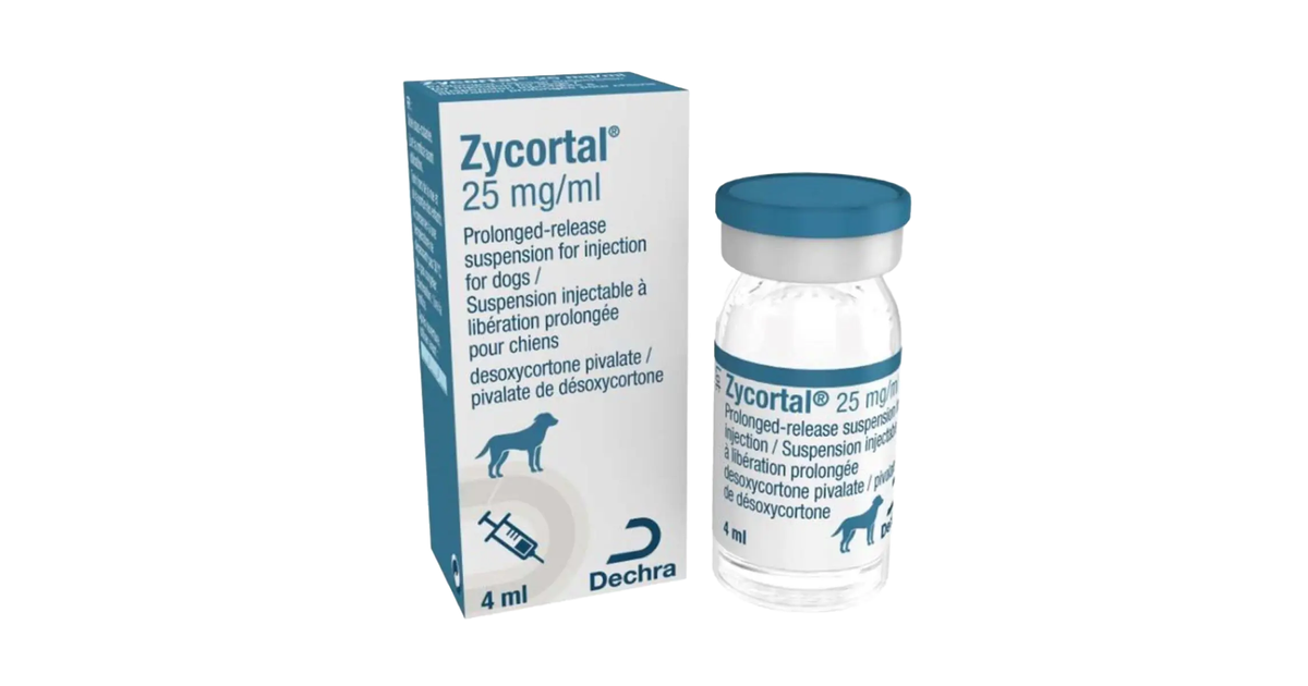 Zycortal 25mg/ml Injection 4ml - Weldricks Pharmacy
