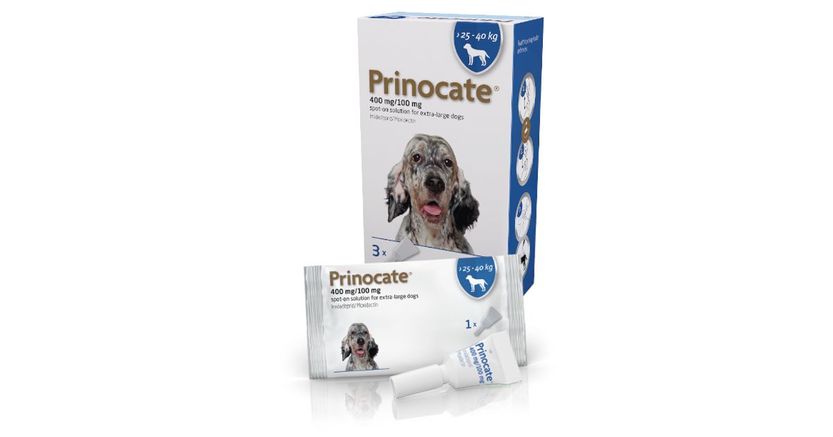 Prinocate Extra Large Dog 25 – 40kg Pack of 3