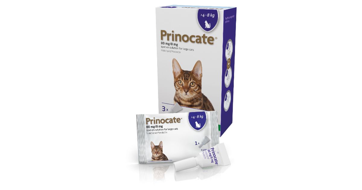 Prinocate Large Cat 4 – 8kg Pack of 3