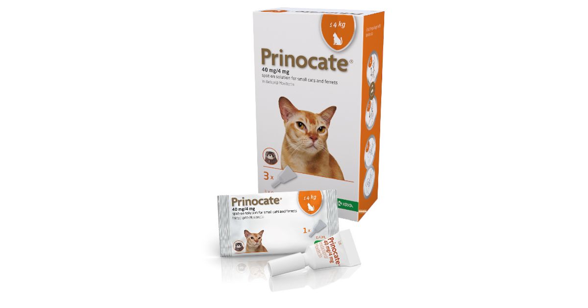 Prinocate Spot-on-Solution: Complete Parasite Control for Cats & Ferrets