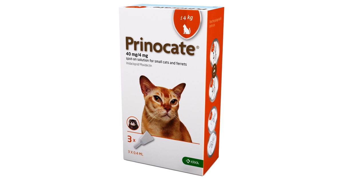 Prinocate Spot-on-Solution: Complete Parasite Control for Cats & Ferrets