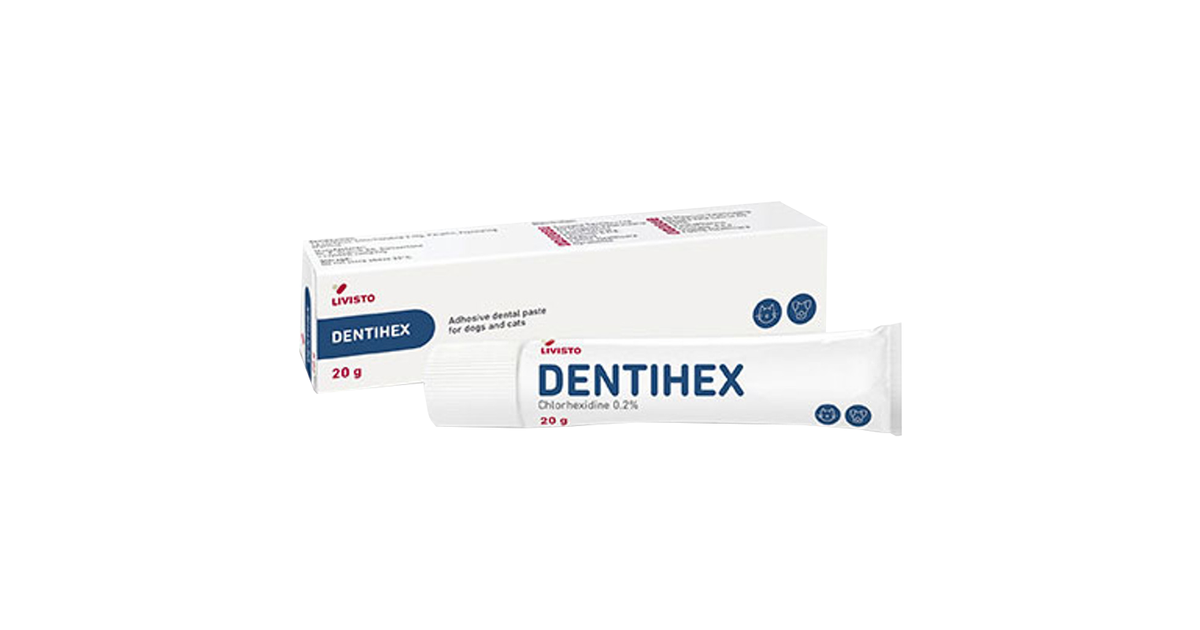Dentihex Oral Paste 20g