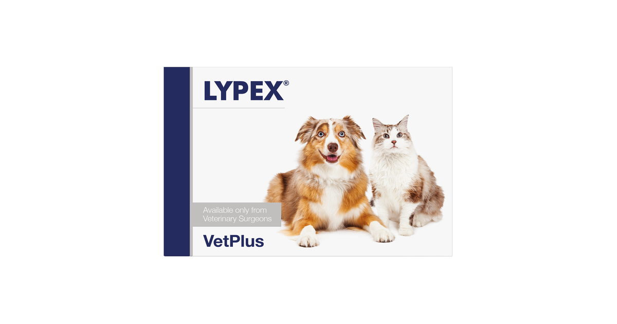 Lypex Pancreatic Enzyme Capsules for Dogs and Cats Pack of 60