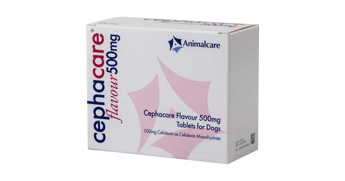 Cephacare Flavoured Tablet 500mg