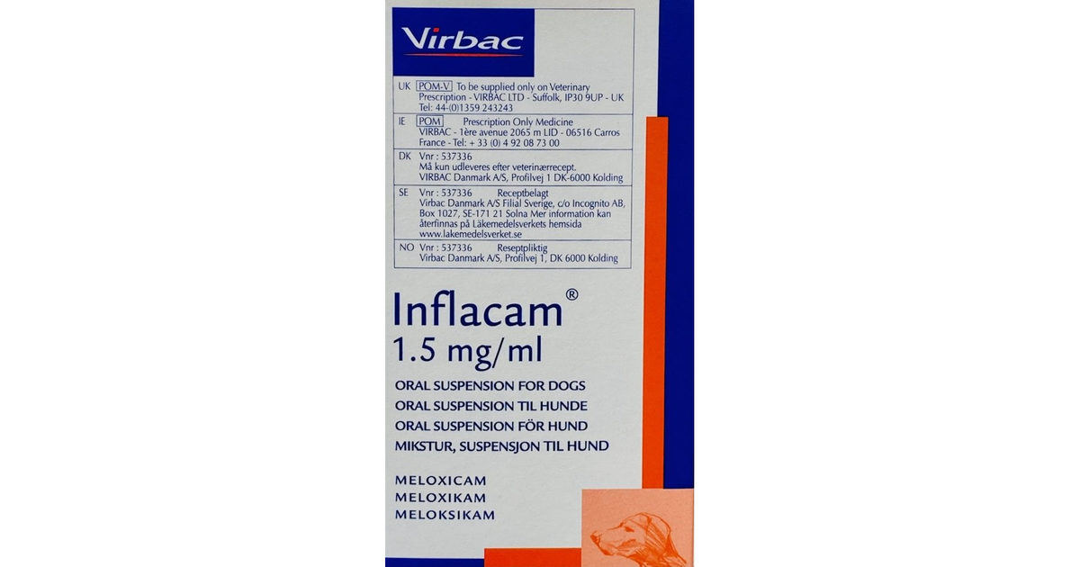 Inflacam Oral Suspension for Dog 1.5mg/ml 42ml