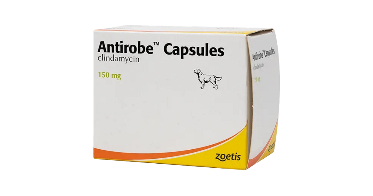 Antirobe Capsule 150mg