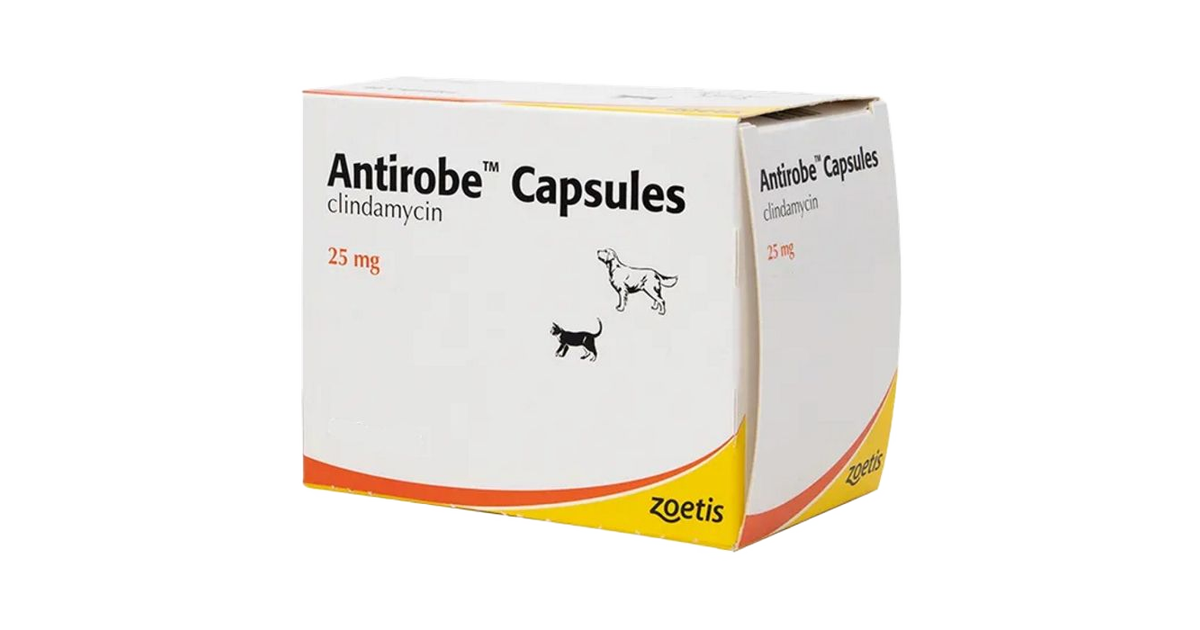 Antirobe Capsule 25mg
