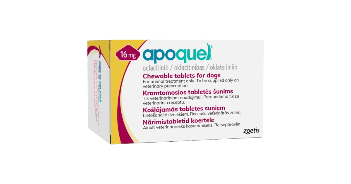 Buy Apoquel 16mg Chewable Tablets for Dogs Online UK