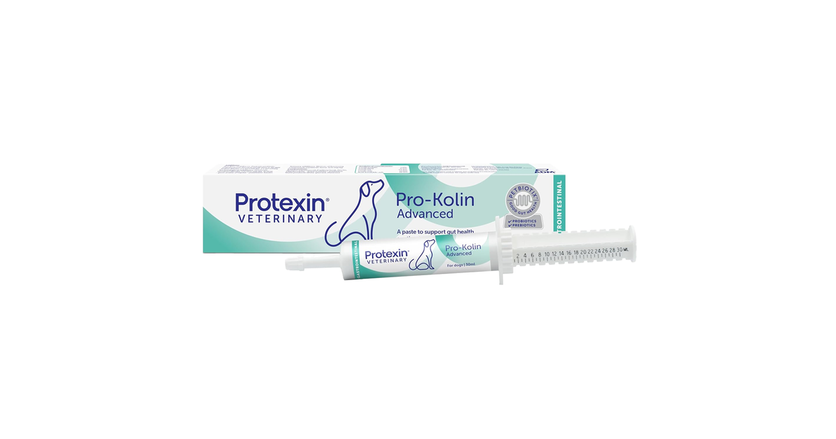 Pro-Kolin Advanced Gastrointestinal Supplement for Dogs 30ml