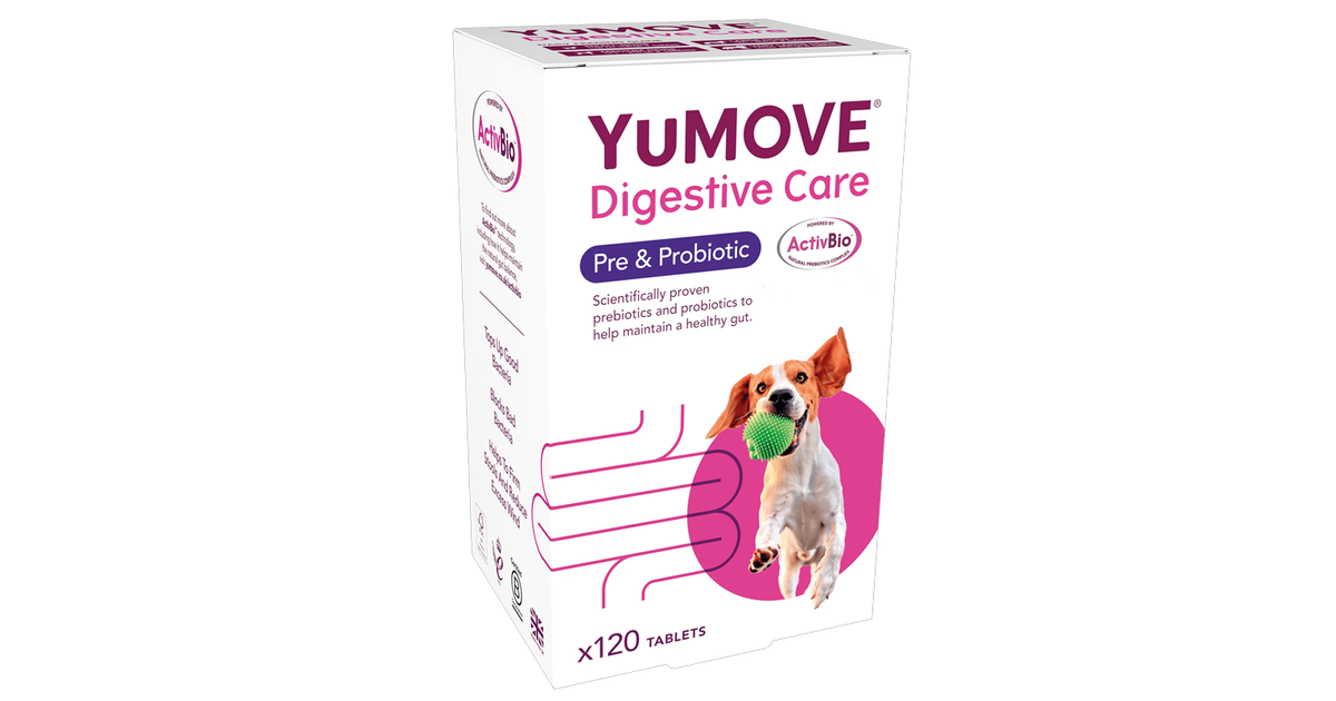 YuMOVE Digestive Care Pre & Probiotic for Dogs Tablets Pack of 120