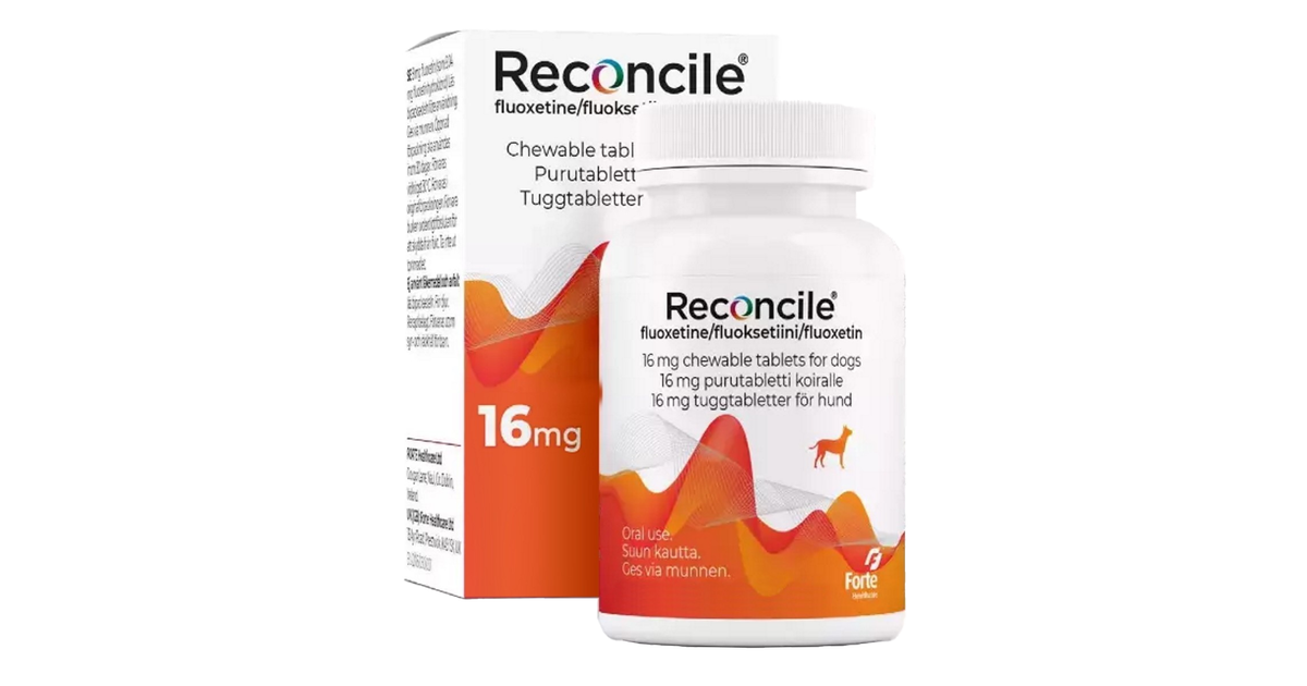 Reconcile 16mg Tablets for Dogs | Anxiety Relief from Weldricks
