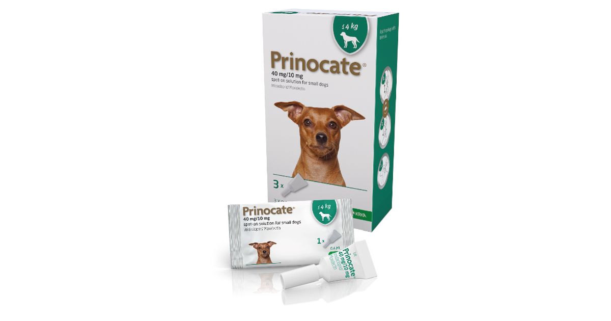 Prinocate 40/10mg Spot-On for Dogs