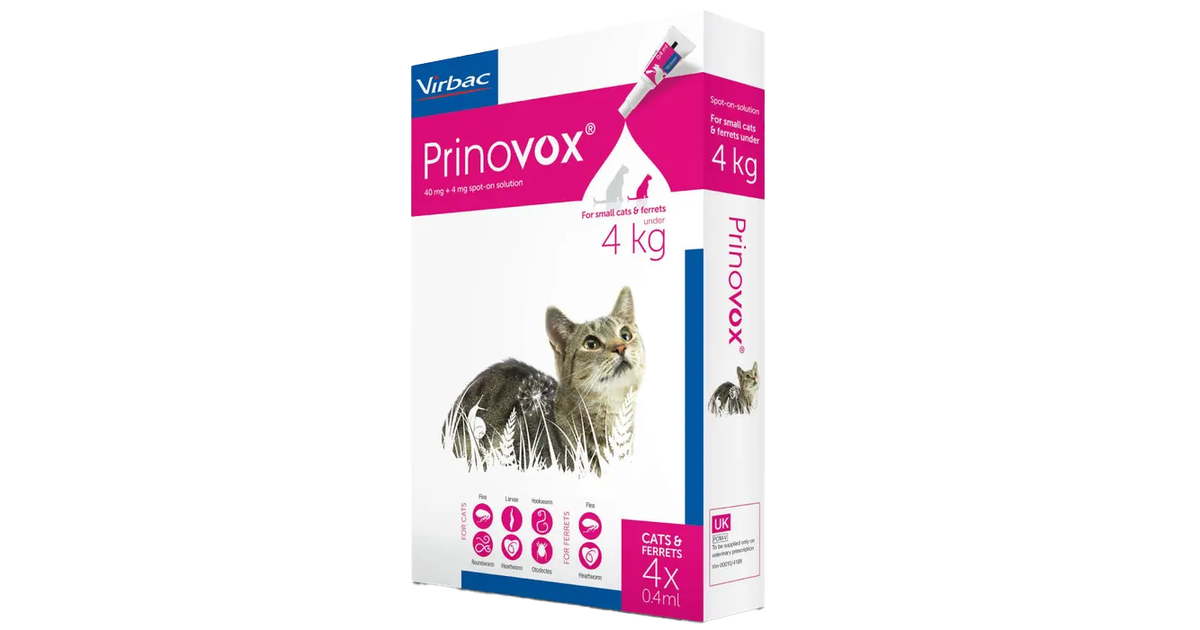 Prinovox Spot-On Small Cats & Ferrets