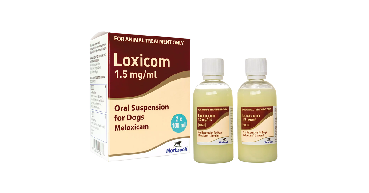 Loxicom 1.5 mg/ml Oral Suspension for Dogs – 100 ml Dual Pack ...