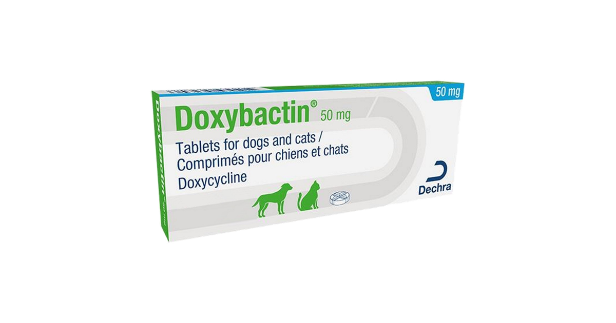 Doxybactin Tablet 50mg | Vet Prescription | Weldricks Pharmacy