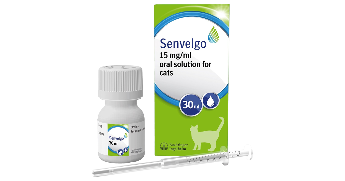 Senvelgo 15mg/ml Oral Solution for Cats (30ml) | POM-V Prescription