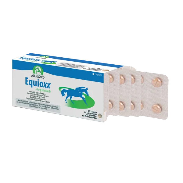 Equioxx 57mg for Horses | Firocoxib Chewable Tablets | Weldricks