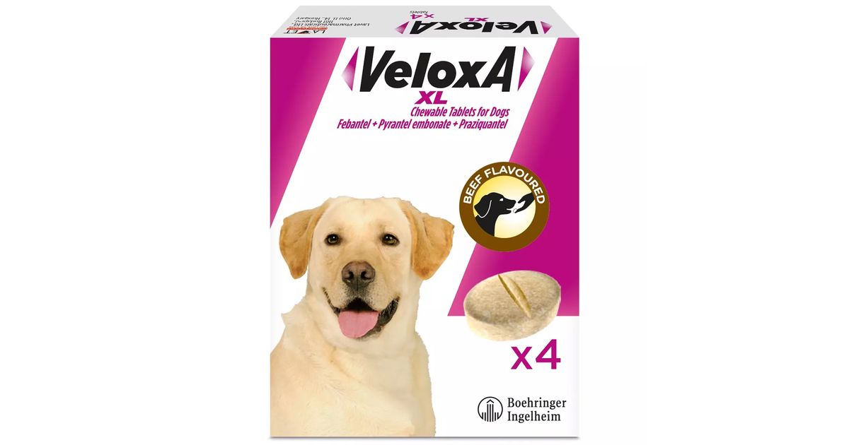 Veloxa XL Chewable Tablets for Dogs Pack of 4