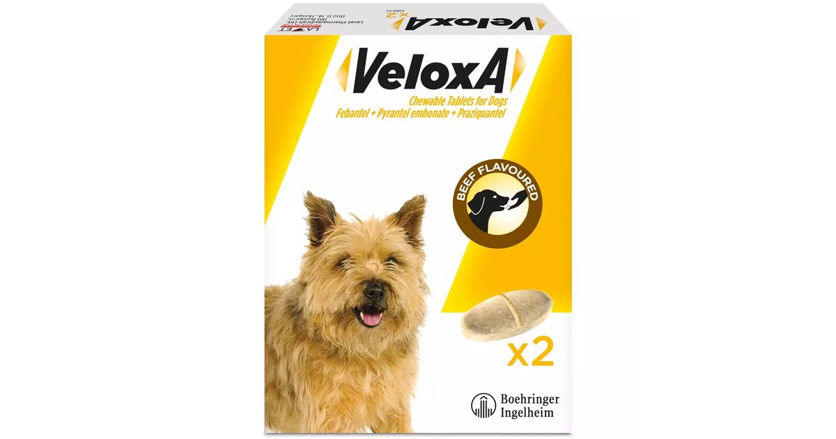 Veloxa Chewable Tablets for Dogs Pack of 2