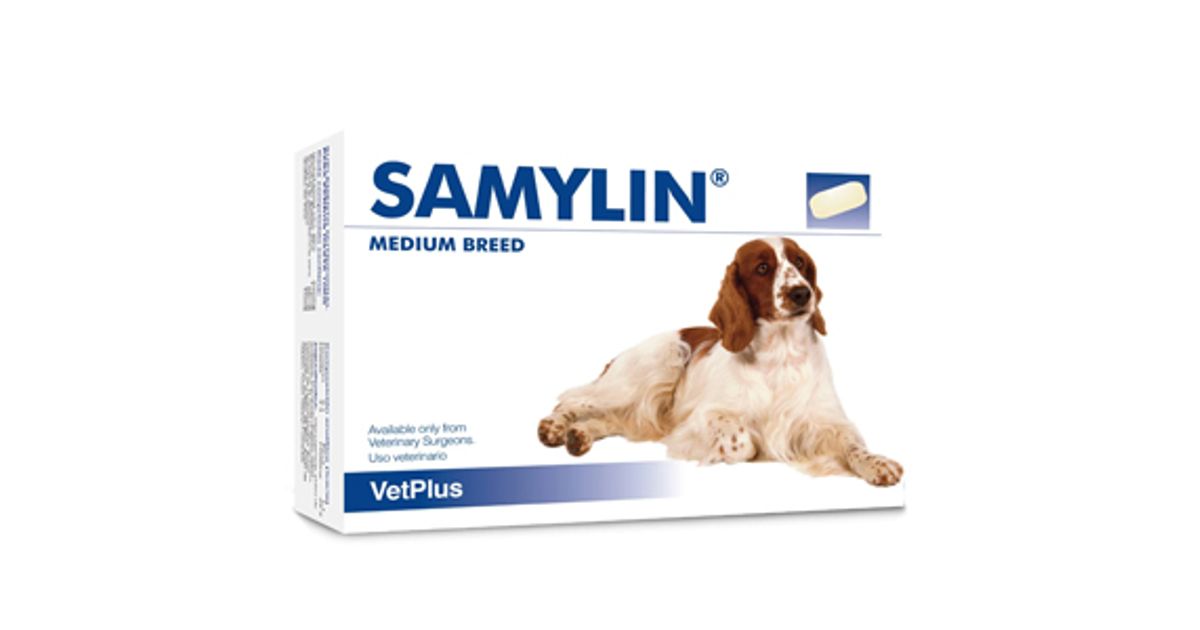Samylin Medium Breed Tablets Pack of 30