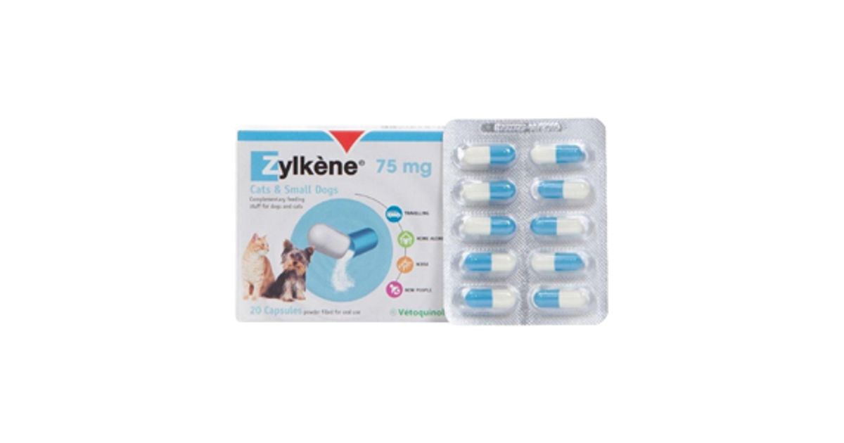Zylkene Capsules for Cats and Small Dogs 75mg Pack of 20